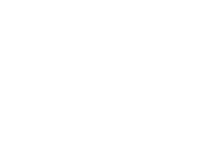 Model Works